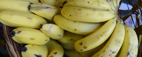 O barato de ser feio - Ideação