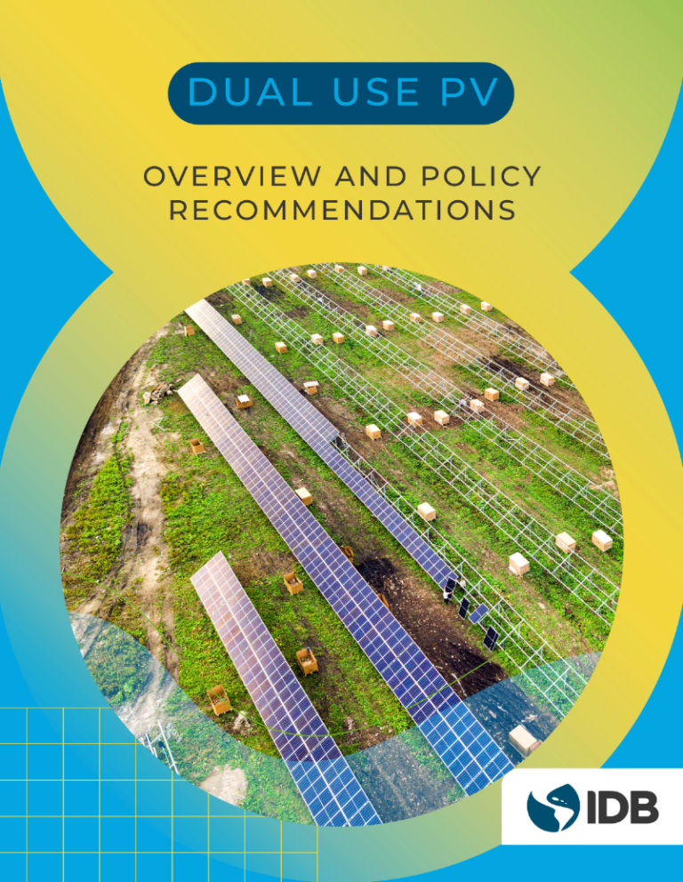 Exploring Dual-Use PV: Unlocking Renewable Energy's Hidden Potential - Energía para el Futuro